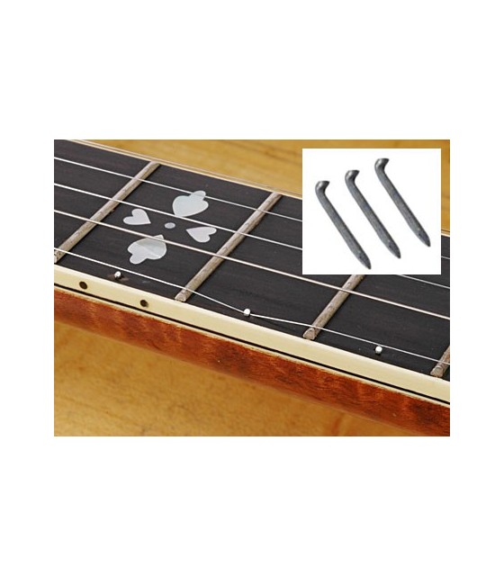 BanjoTeacher.com | Instruction | Banjos for Sale | Supplies