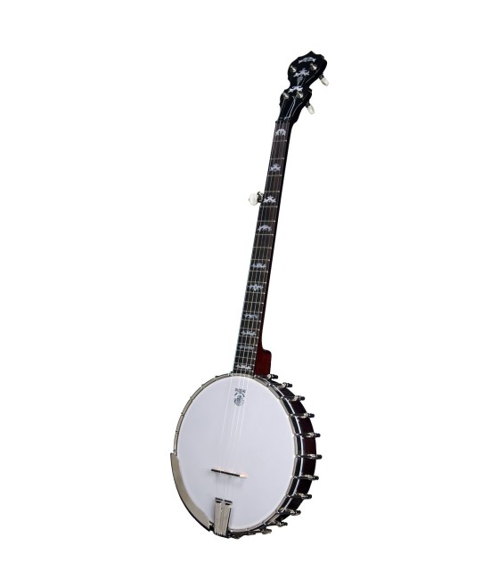 Goldtone CC 50 | Open Back Banjos | Best Beginner Open Back Banjo