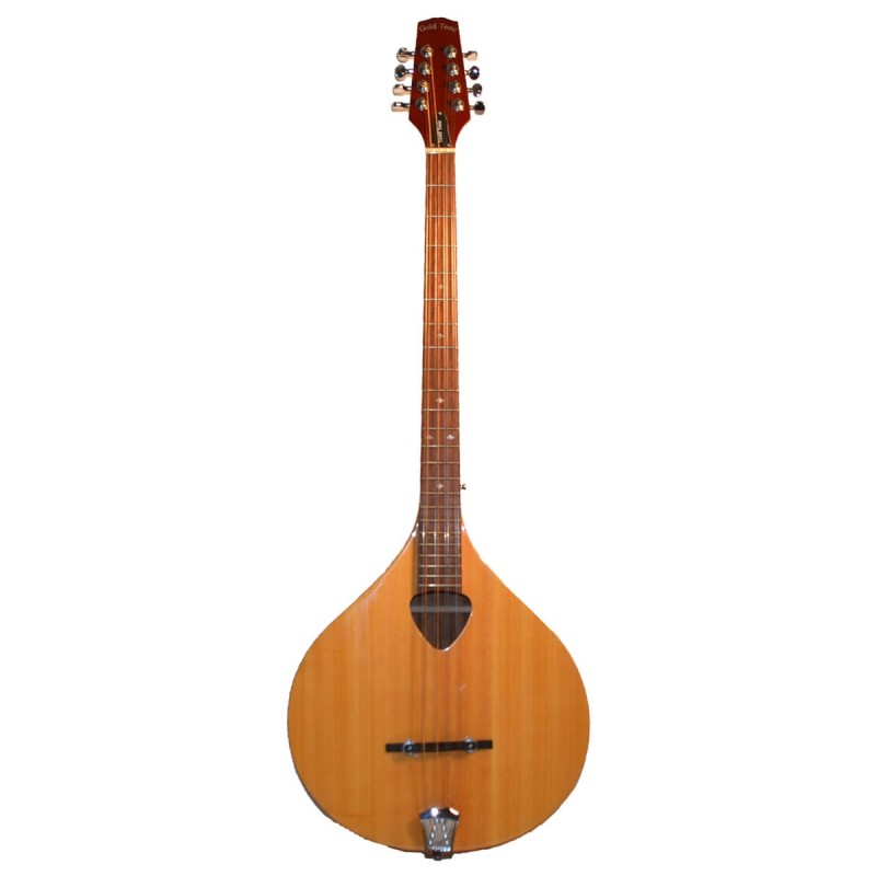 Gold Tone BZ-500 | Irish Bouzouki Mandolin | Hard Case | Free Shipping