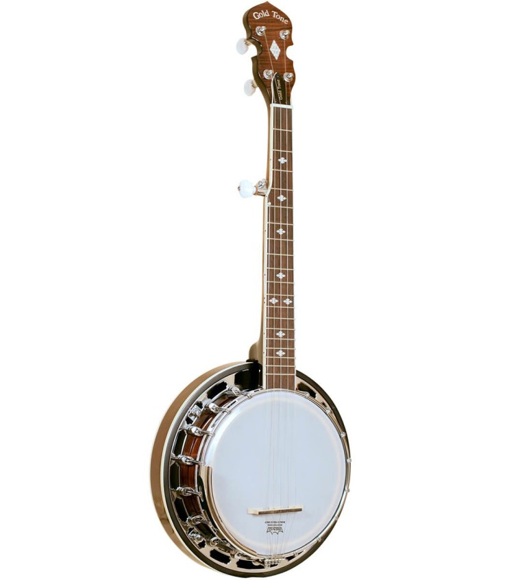 Gold Tone BG Mini | Travel Banjo | Small Banjo for Kids | Lightweight