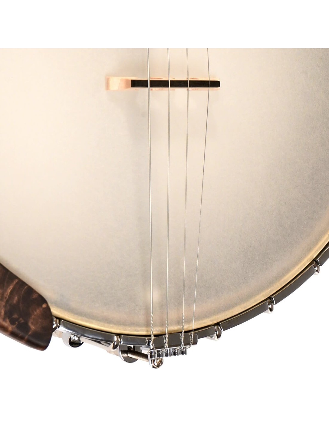 Gold Tone IT-17 | 12 Inch Rim Irish Tenor Banjo | 17 Fret Irish Tenor
