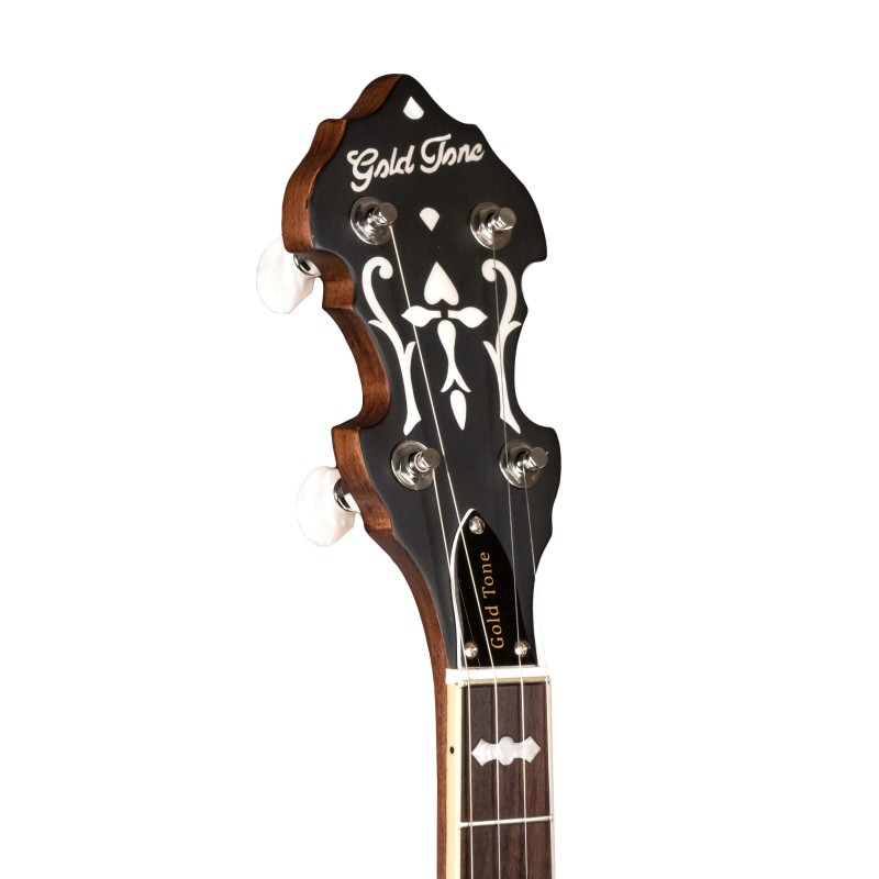 Gold Tone OB-150EF | 24 Fret Scale Banjo | Easy Play | Two Octaves