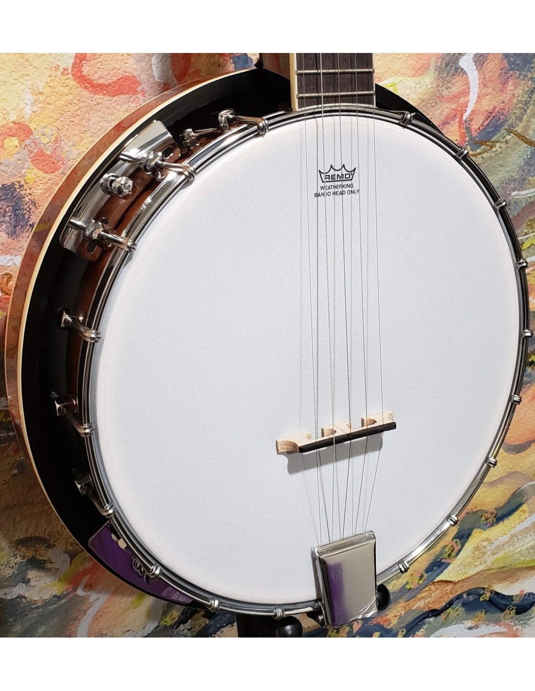 Morgan Monroe RT-B18 Banjo with Resonator | Free case | Free Book