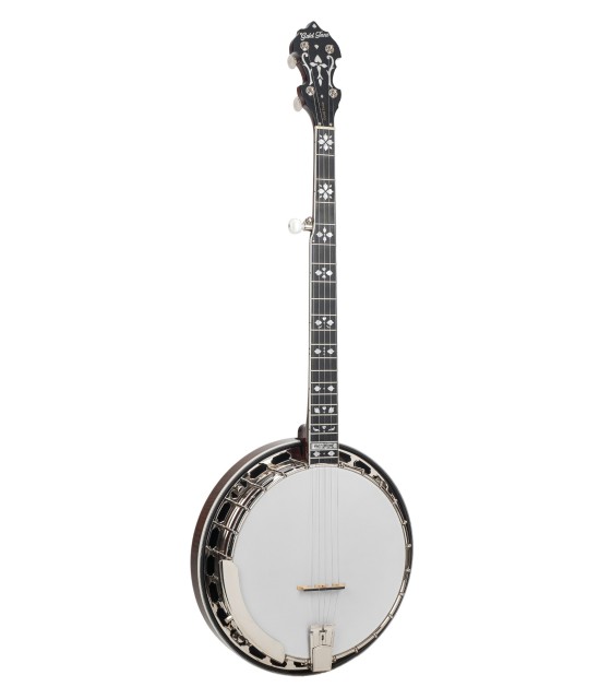 Gold Tone Banjos at BanjoTeacher.com | Since 2003 | Read our Reviews