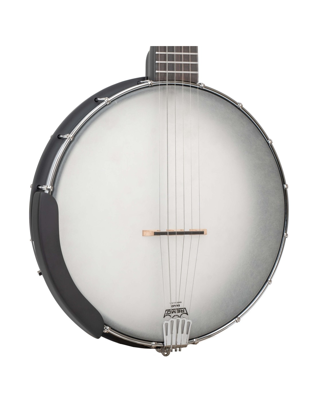 Gold Tone AC-5+1| Lojo | Low G String | A 5-String with Added Low G