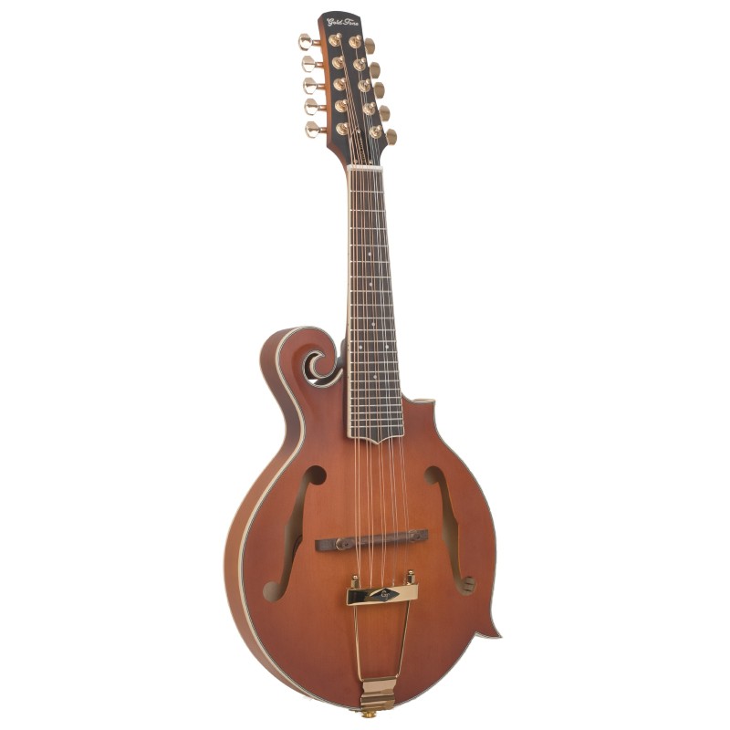 Gold Tone F-10 | F Style 10-String Mandolin with Low C String