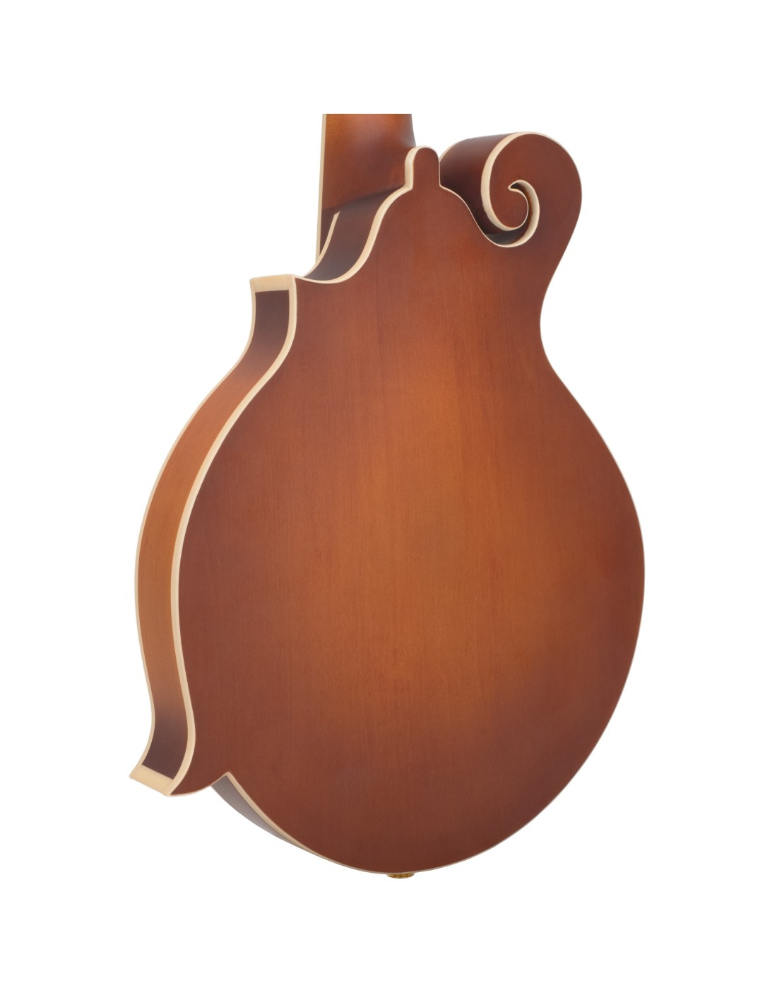 Gold Tone F-10 | F Style 10-String Mandolin with Low C String