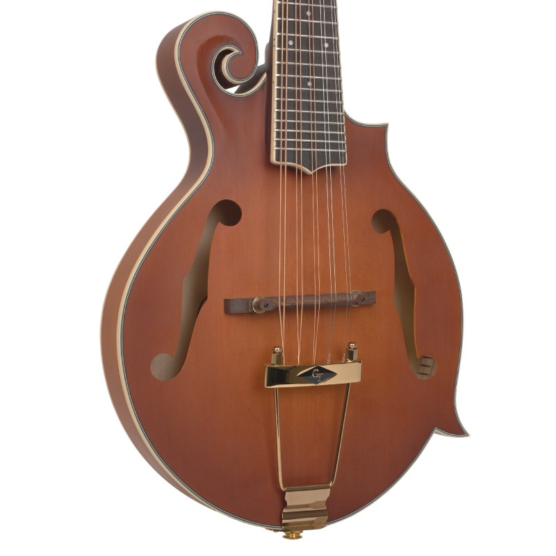 Gold Tone F-10 | F Style 10-String Mandolin with Low C String