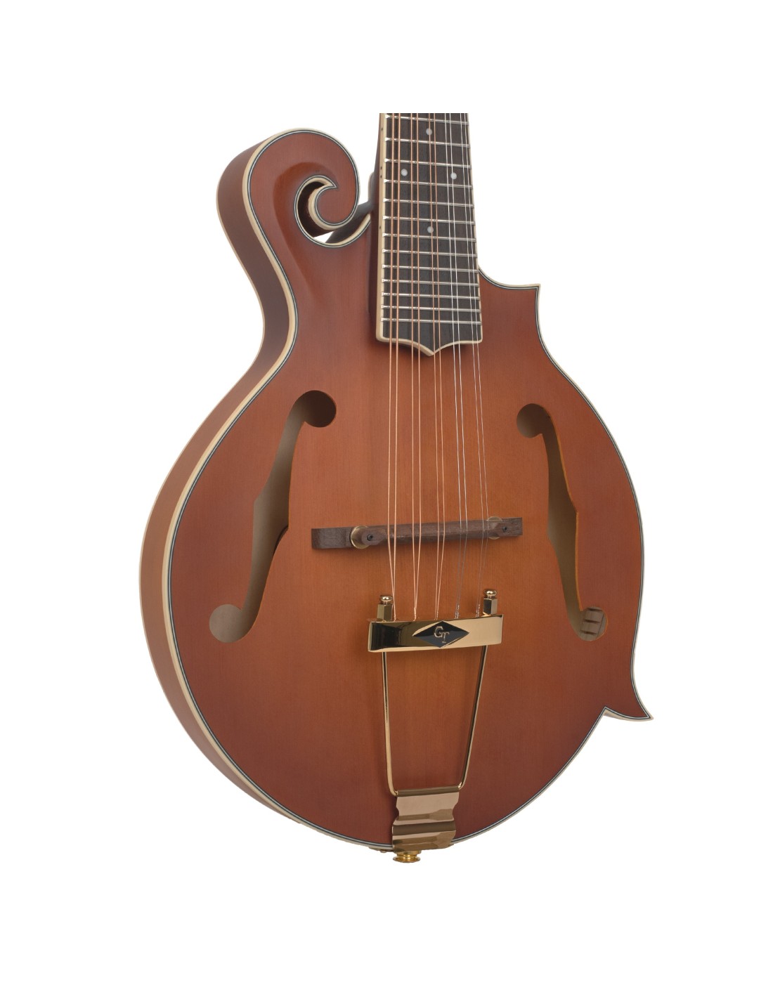 Gold Tone F-10 | F Style 10-String Mandolin with Low C String