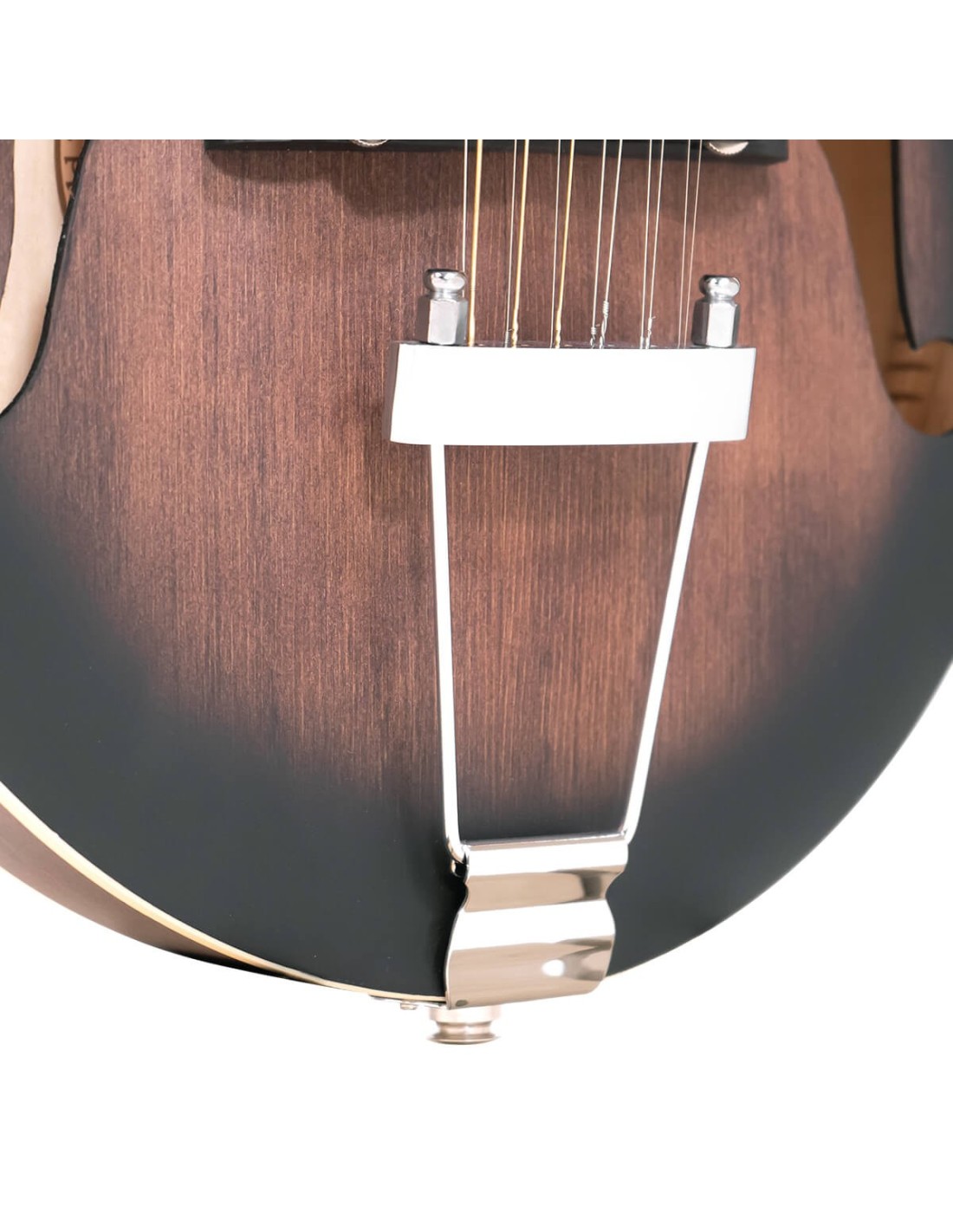 Gold Tone F-12 | F Style 12-String Mando-Guitar | Pickup and Case