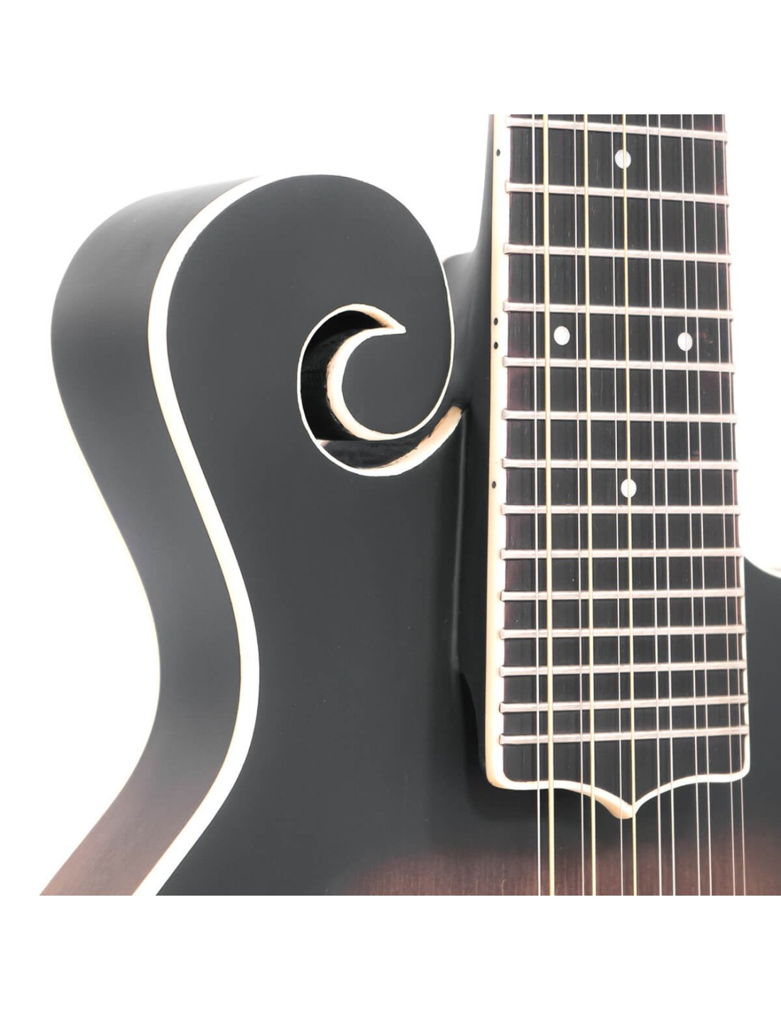 Gold Tone F-12 | F Style 12-String Mando-Guitar | Pickup and Case