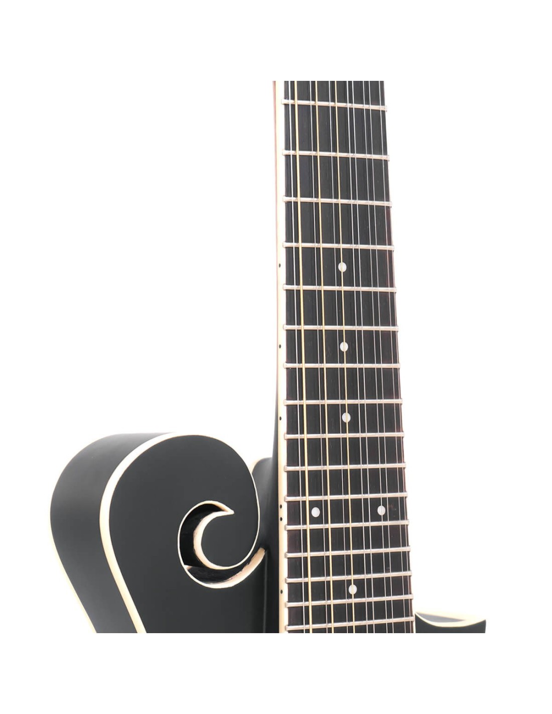 Gold Tone F-12 | F Style 12-String Mando-Guitar | Pickup and Case