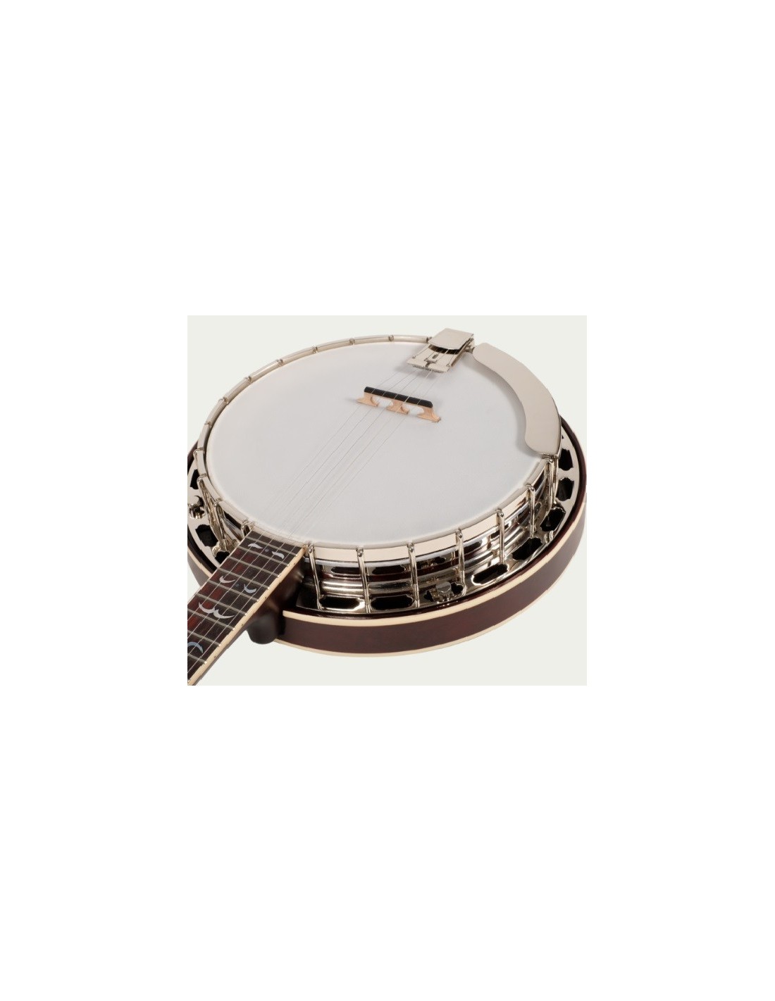 Recording King RK 35 | Maple Banjo | Demo Video | Best Sounding Banjo