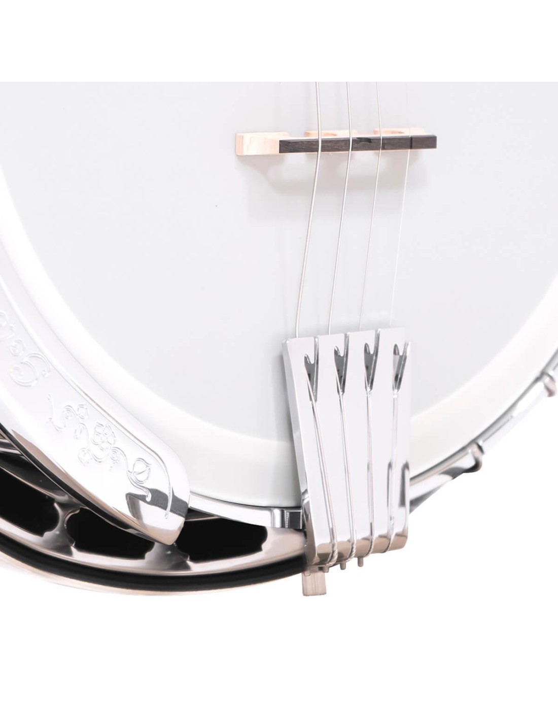 Best Irish Tenor Banjo | Gold Tone IT 250F | Archtop | 17 Fret Irish