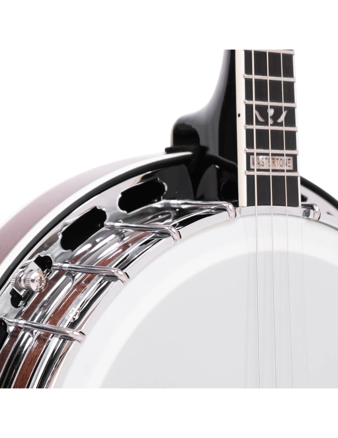Best Irish Tenor Banjo | Gold Tone IT 250F | Archtop | 17 Fret Irish