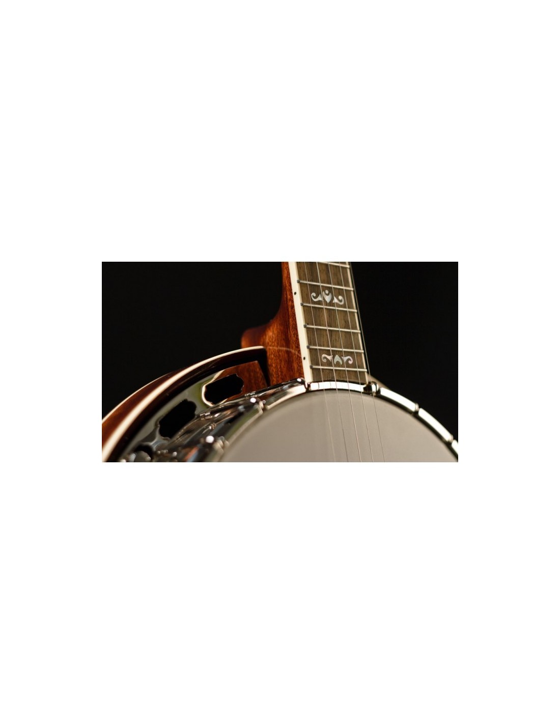 Recording King Banjo RK R75 | RK75 - The Elite | Flying Eagle Inlay