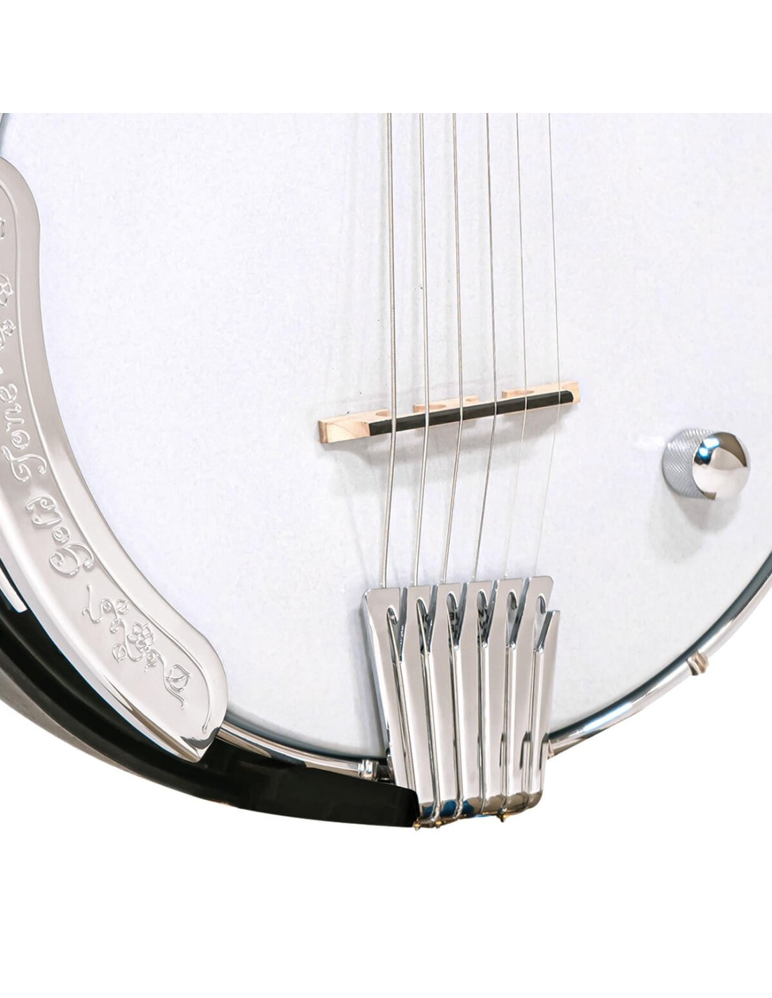 AC-6 Plus Six String Banjo With Pickup at the Lowest Price