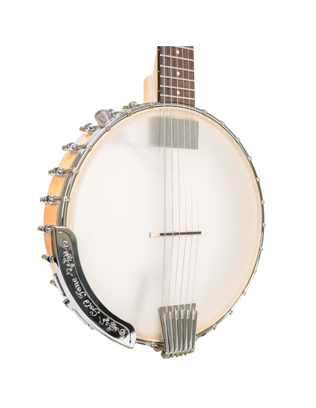 Openback Banjitar | BT 1000 Banjitar | 6-String Banjo Guitar