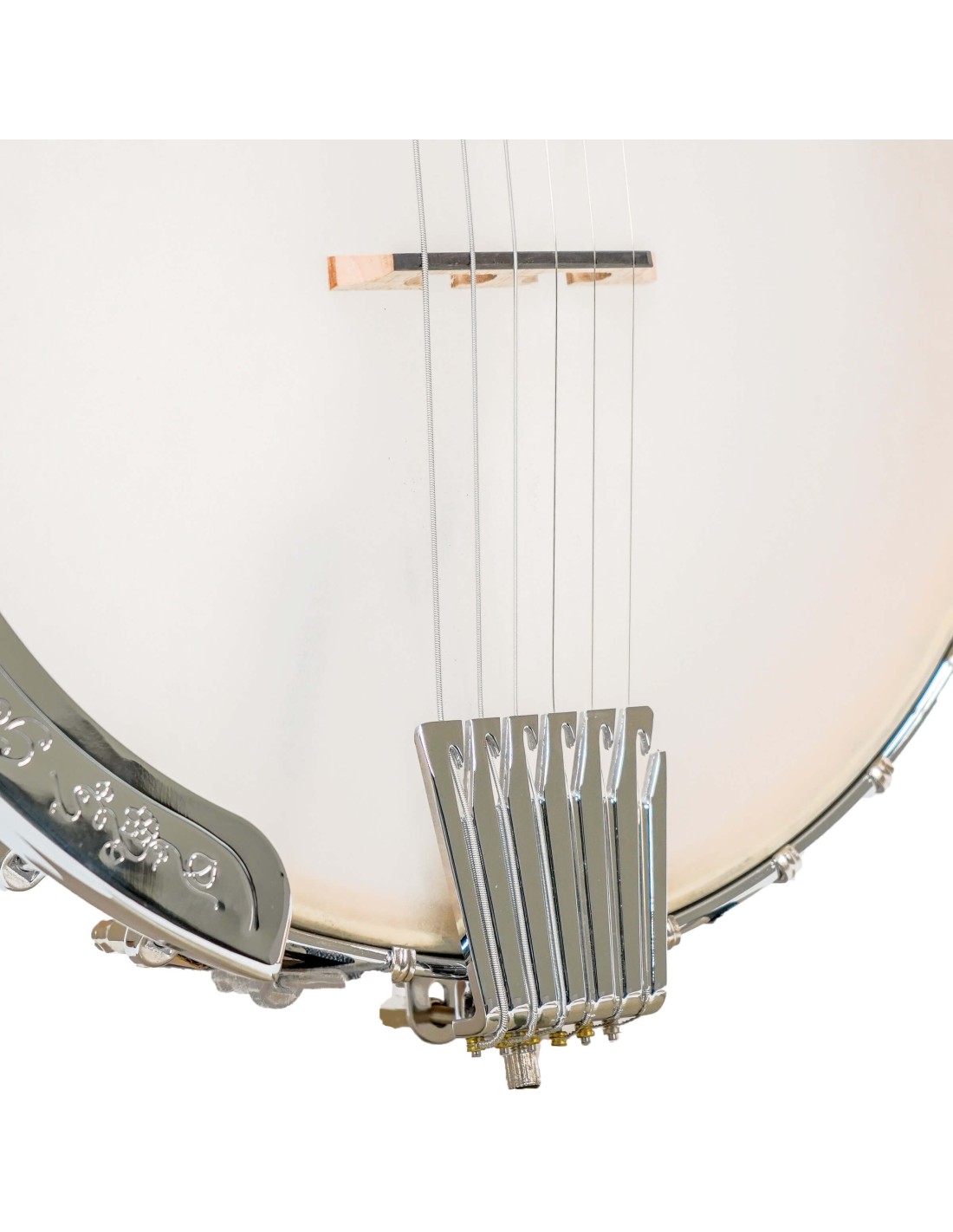 Openback Banjitar | BT 1000 Banjitar | 6-String Banjo Guitar