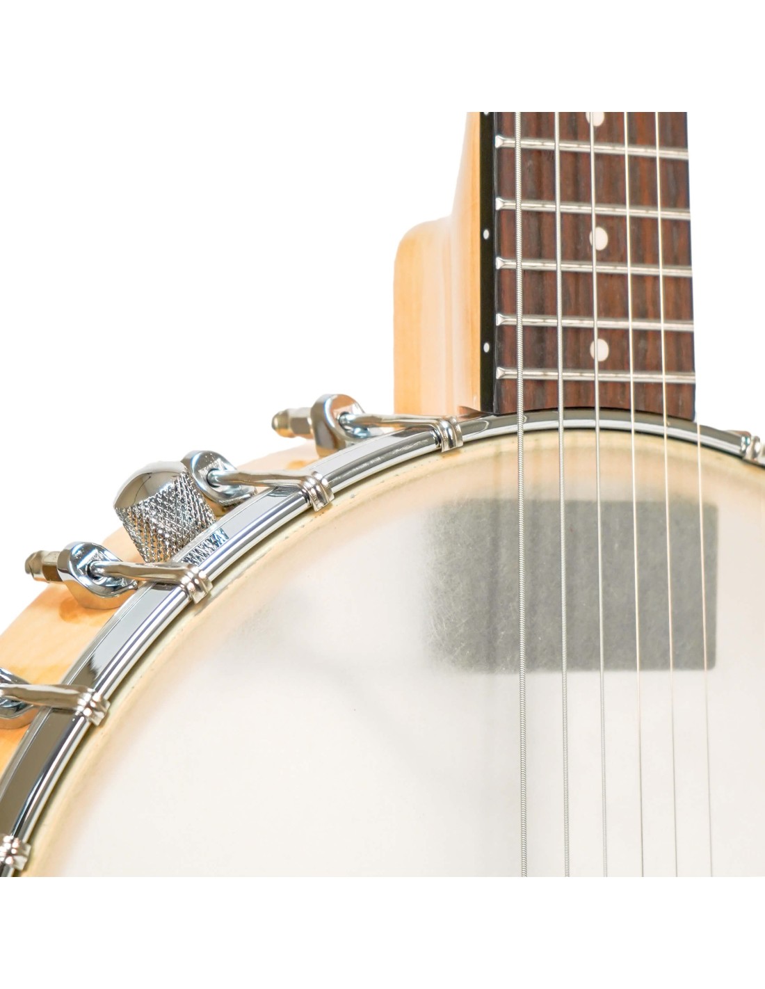 Openback Banjitar | BT 1000 Banjitar | 6-String Banjo Guitar
