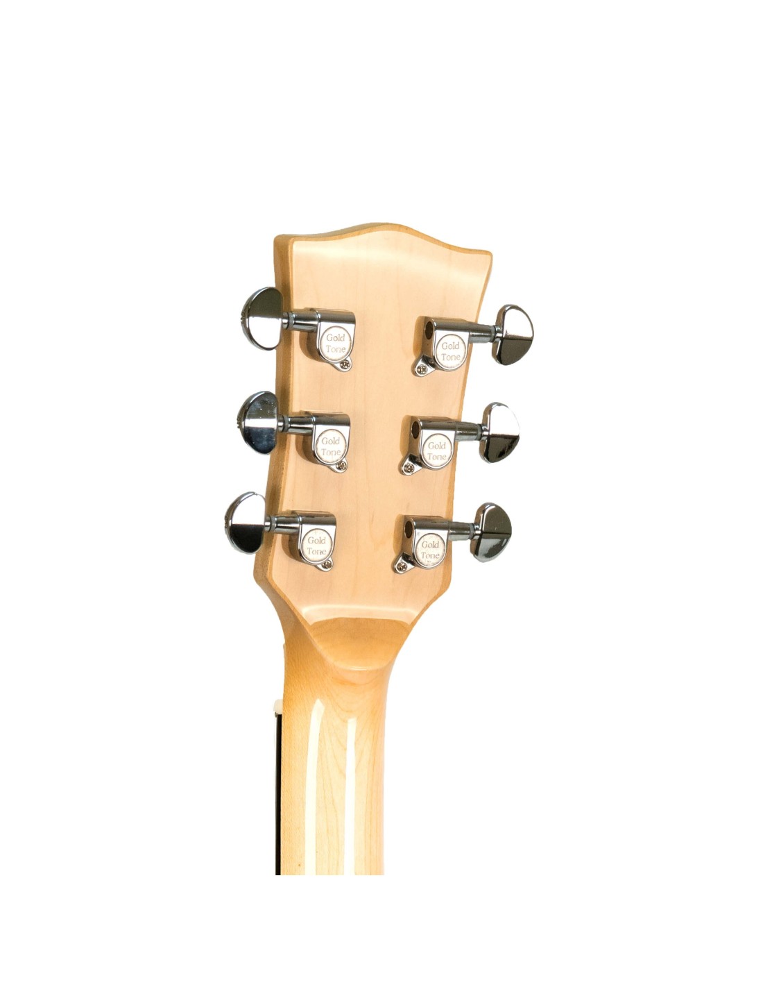 Openback Banjitar | BT 1000 Banjitar | 6-String Banjo Guitar