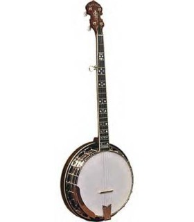 Glossary of Common Banjo Terms by Ross Nickerson